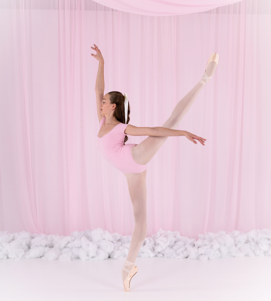 High Cut Leotards – Claudia Dean World